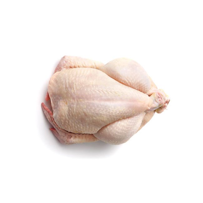frozen chicken – globaltradingsoln.com